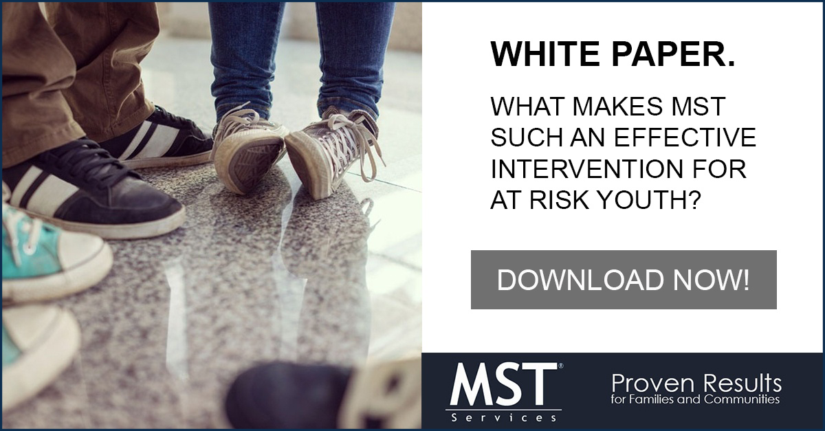 Following MST's Nine Principles Leads to Successful Outcomes