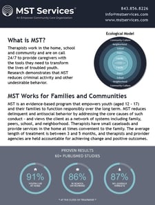 Overview of MST Family Therapy Services | MST Services