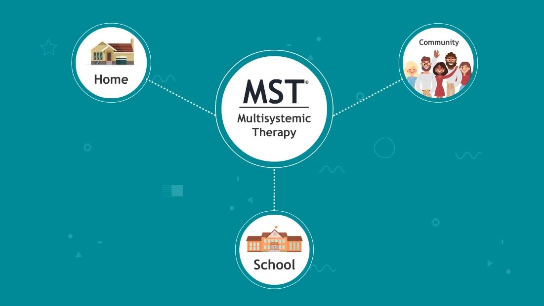 How MST Works Video | MST Services