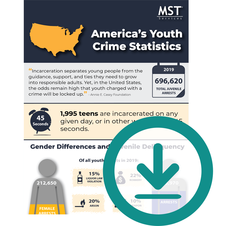 Diving Deeper into Youth Crime Statistics