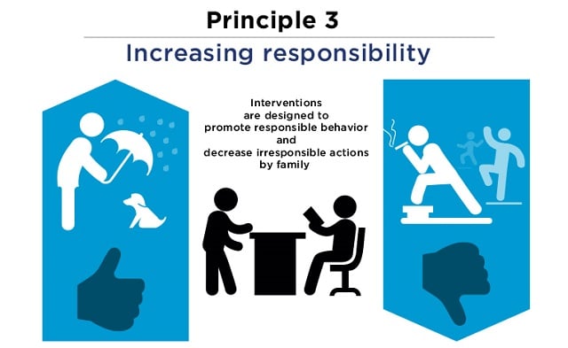 Following MST's Nine Principles Leads to Successful Outcomes